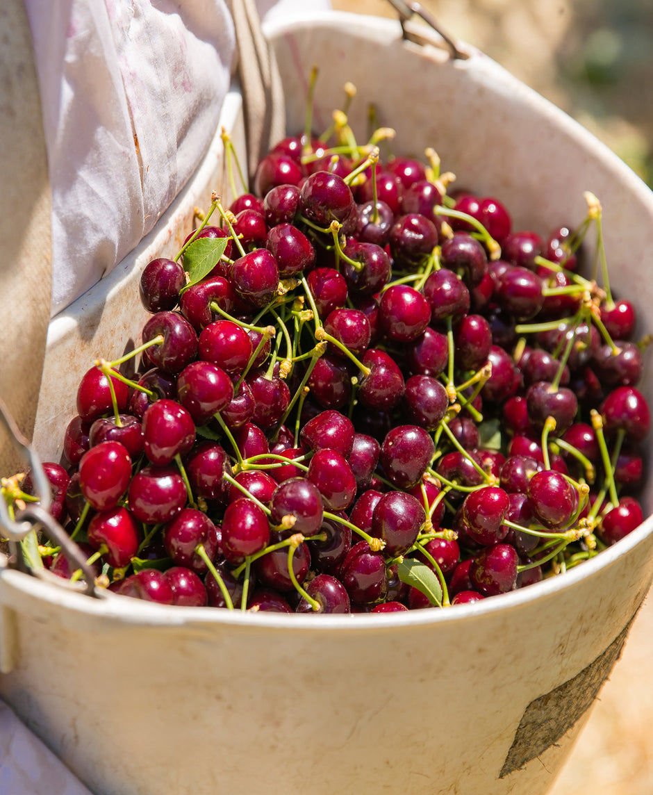 Mon Cherry | Cherry Fruit Wine Made With Aussie Cherries.
